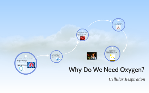 Why Do We Need Oxygen? by Trenna Beaureagrd on Prezi