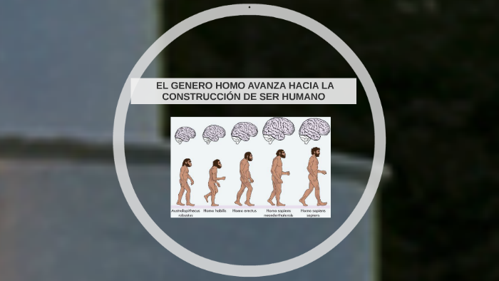 EL GENERO HOMO AVANZA HACIA LA CONSTRUCCIÓN DE SER HUMANO by mishel ...