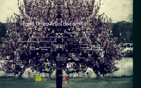 Tapia / Urrea Family Tree by Esmeralda Urrea on Prezi