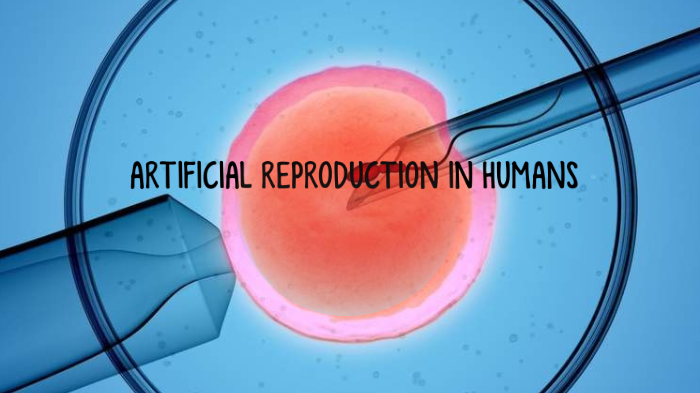 Artificial Reproduction by Violeta Rodriguez on Prezi