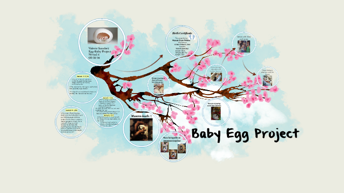 Baby Egg Project by Valerie Sanchez on Prezi