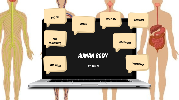 Human Body Analogy by khoi DO on Prezi