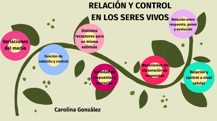 Relación y control en los seres vivos by Carolina González on Prezi
