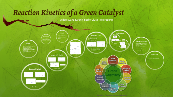 Reaction kinetics of a green catalyst by Tolu Faderin on Prezi