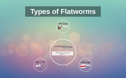 Types of Flatworms by Elsie Aleck on Prezi