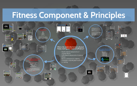 Fitness Component & Principles by mehdi bayani on Prezi