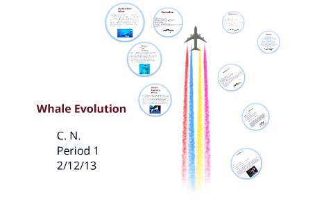 Whale Timeline by Bart Simpson on Prezi