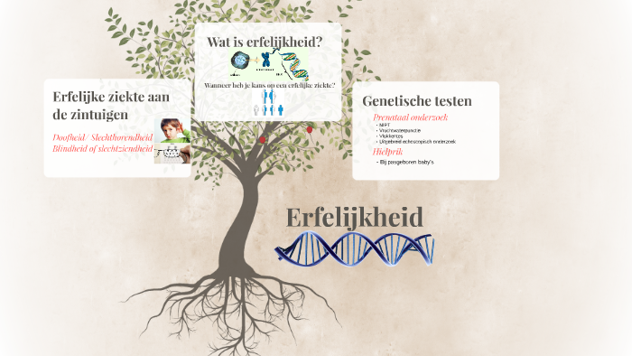 Erfelijkheid by Sophie de Waal on Prezi
