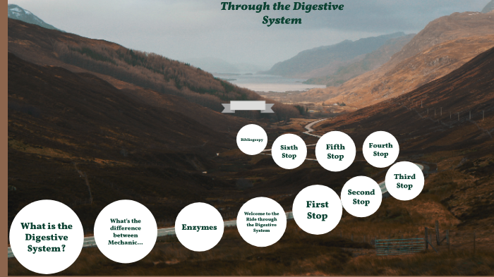Digestive System Travel Brochure by Avery and Priya Science on Prezi