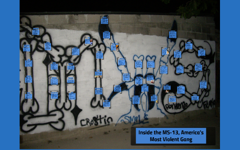 MS-13 Gangs Powerpoint by Mallory Young on Prezi