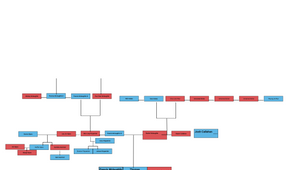 Mclaughlin Family Tree by Francis Mclaughlin on Prezi Design