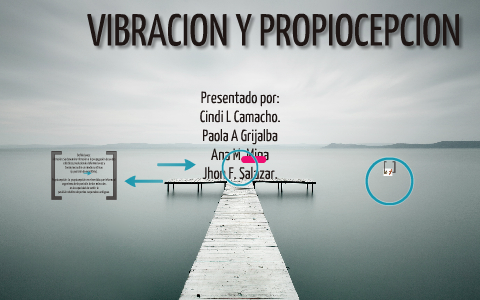 vibracion y propioceptor by Pao Grijal on Prezi