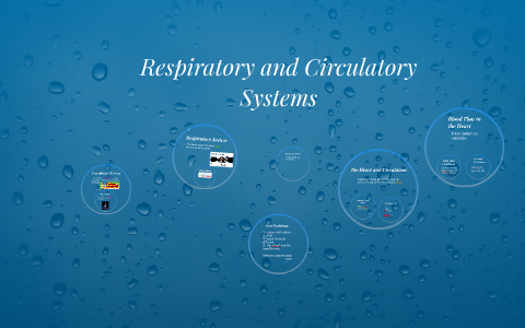 Respiratory and Circulatory Systems by Samantha Enders on Prezi