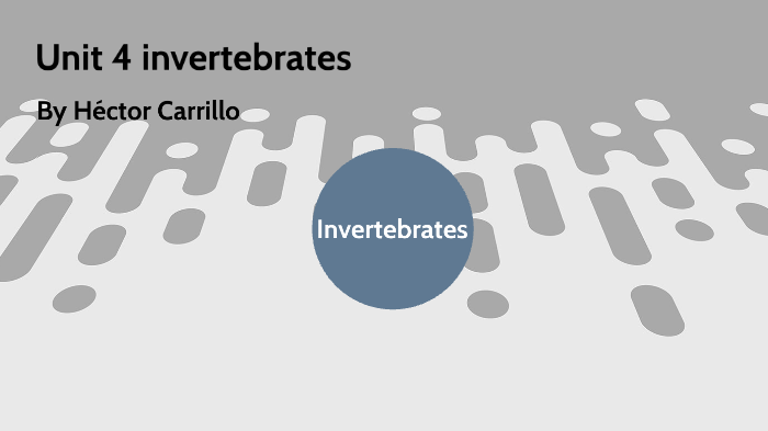 mind map invertebrates by Héctor Carrillo on Prezi