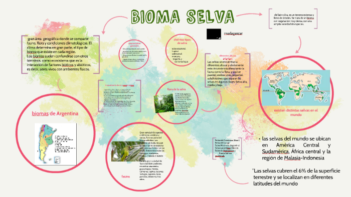 BIOMA SELVA by Martu Barone on Prezi