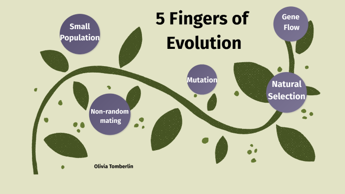 5 Fingers of Evolution by Olivia Tomberlin on Prezi
