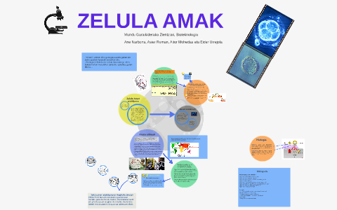 ZELULA AMAK by euarm au on Prezi