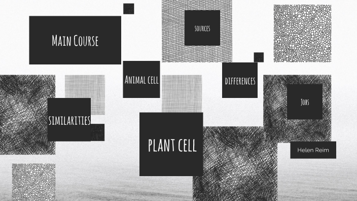 main course by Helen Reim on Prezi