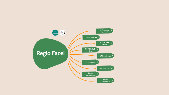 Regio Facei by muhammad caesarandi on Prezi