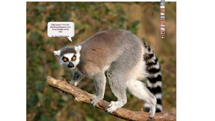 High Lemur Extinction Risk Exacerbated by Long Term Drought by Alexa ...