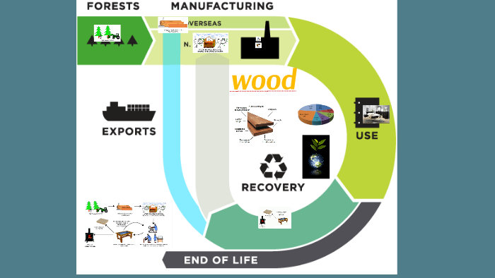 Cycle of life of wood by Martin Revel on Prezi