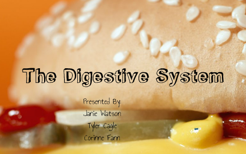 The Digestive System-7th Grade by Corinne Fann on Prezi