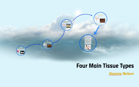 Four Main Types of Tissue by deuane nelson on Prezi