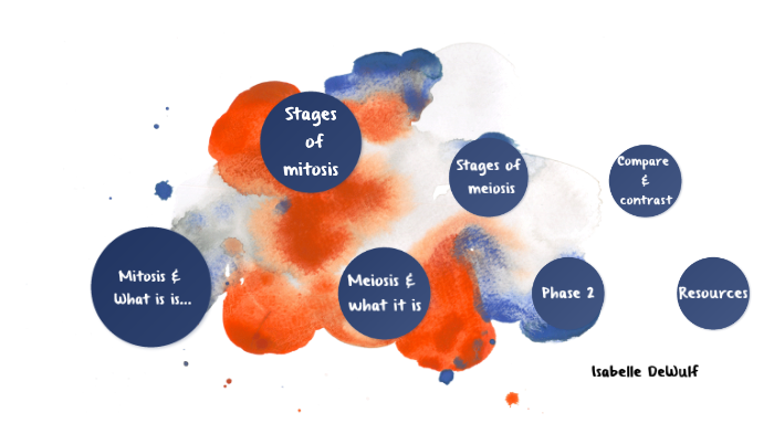 Mitosis & Meiosis by Isabelle DeWulf on Prezi