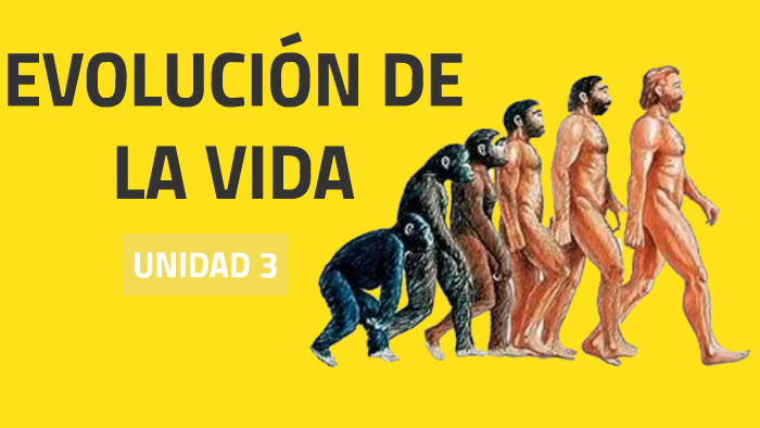 Evolucion de la Vida by Wilson Bolívar Minchala Méndez on Prezi