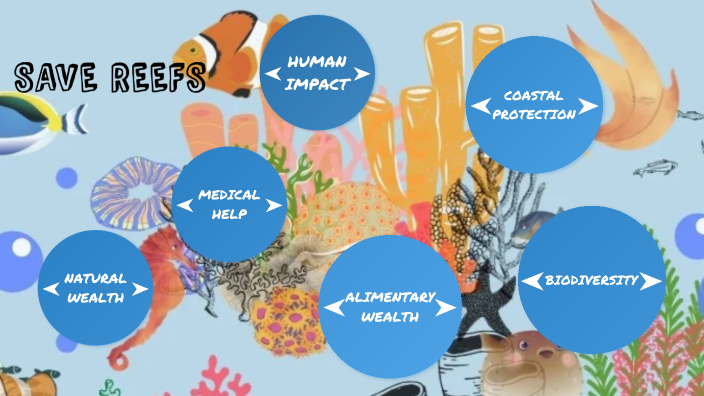 Nemo map by on Prezi