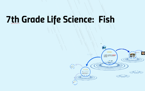 7th Grade Life Science: Fish by Joe O'Donnell on Prezi