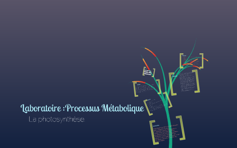 Processus Métabolique. by Allstar SuperStarBoss on Prezi