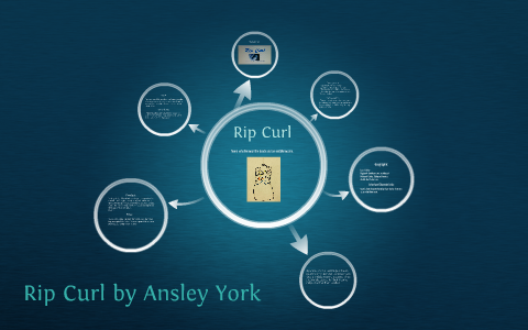 Rip Curl by Ansley York on Prezi