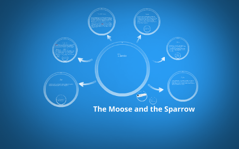 The Moose and the Sparrow by Emily Marshall on Prezi