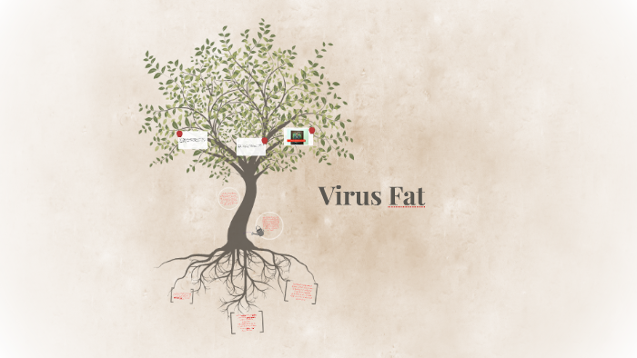 Virus Fat by felix cao on Prezi