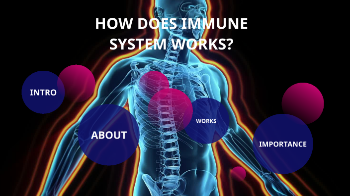 How does the Immune system work by tina casas on Prezi