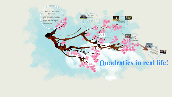 Quadratics in real life! by M D on Prezi