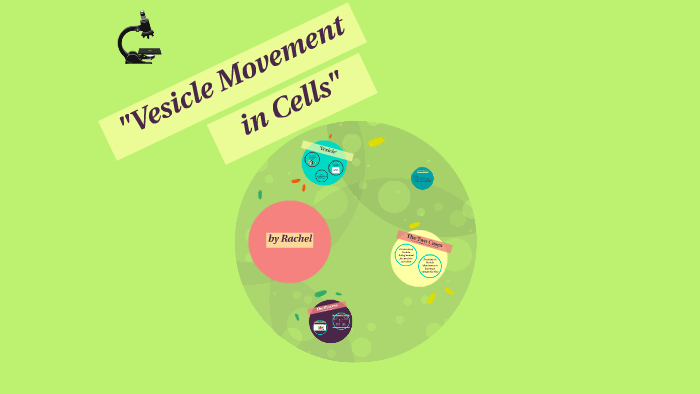 Vesicle Movement in Cells by Rachel Nielsen on Prezi