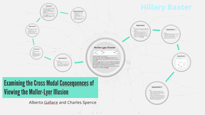 examining the cross modal concequences of viewing the Muller-Lyer ...