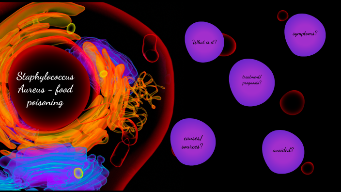 Staphylococcus Aureus - Food Poisoning Project by Faith A on Prezi