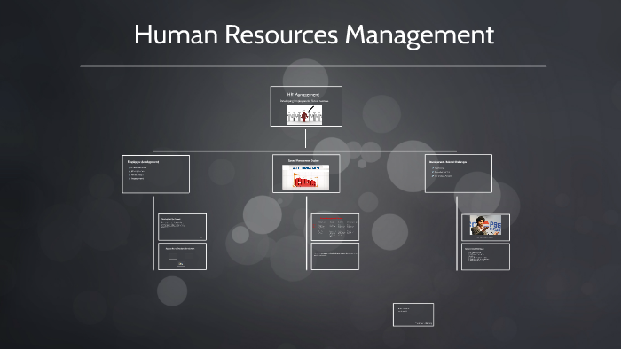 Developing Employees for Future Success by Mustafa Yıldız on Prezi