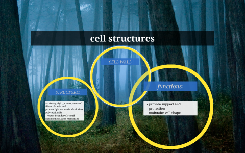 cell structures by mary hursley on Prezi