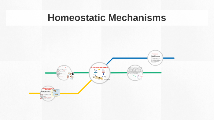 Homeostatic Mechanisms by nicole idler on Prezi