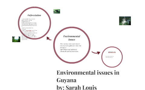 Environmental issues in Guyana by im emo on Prezi