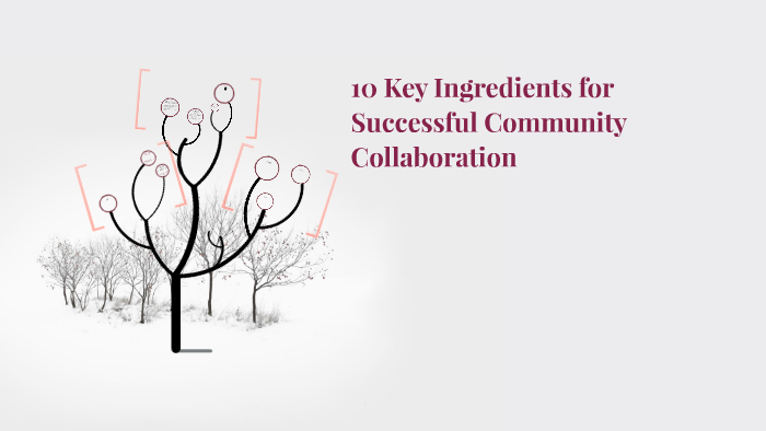 10 Key Ingredients for Successful Community Collaboration by Shauna ...