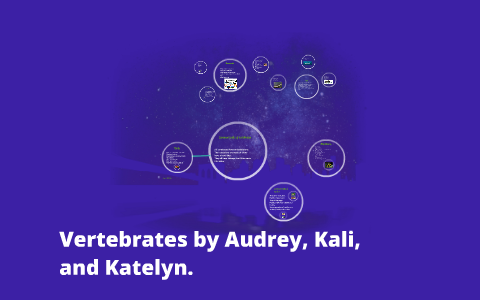 Vertebrates Audrey, Kali, Katelyn. by katelyn peck on Prezi