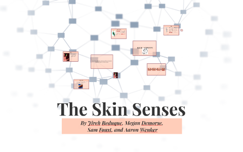 The Skin Senses by Aaron Wenker on Prezi