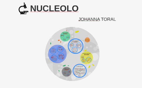 NUCLEOLO by Johanna Toral on Prezi