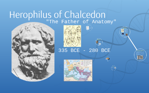 Herophilus of Chalcedon by Christy Broome on Prezi