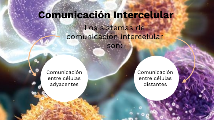 Comunicación Intercelular by Evelyn Vasco on Prezi